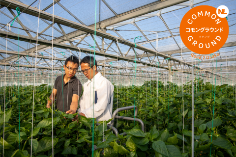 Trade and Innovate Mission for smart agriculture | NL Platform